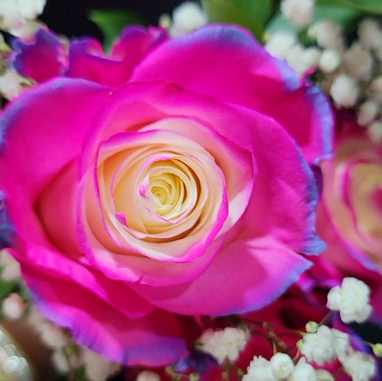 Raqueli Bouquet 12-Stems|Barbalicious Sequoia Roses – Flowers For ...
