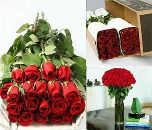 Valentine's Day Bulk Red Roses - 40cm – Flowers For Fundraising