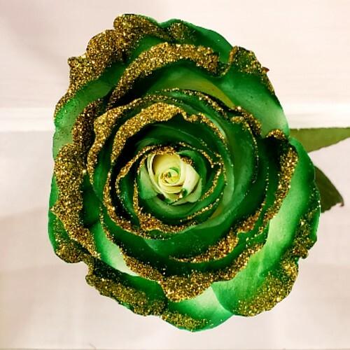 White Rose with Dark Green Paint and Gold Glitter - 1 Stem – Flowers ...